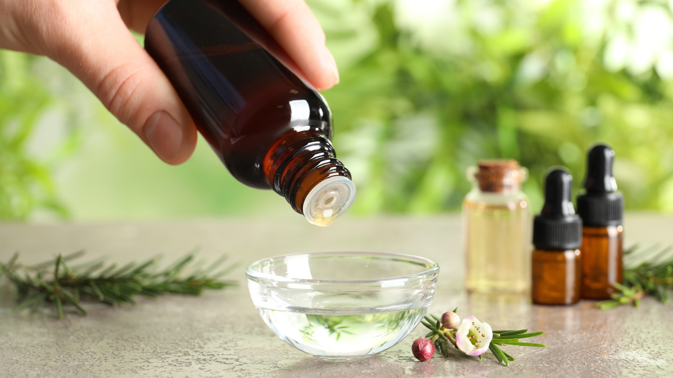 Why Your Skin Might Benefit from Tea Tree Oil – Olivespa